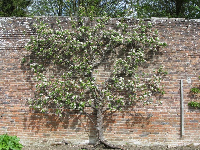 Samantha & Nick | Joy